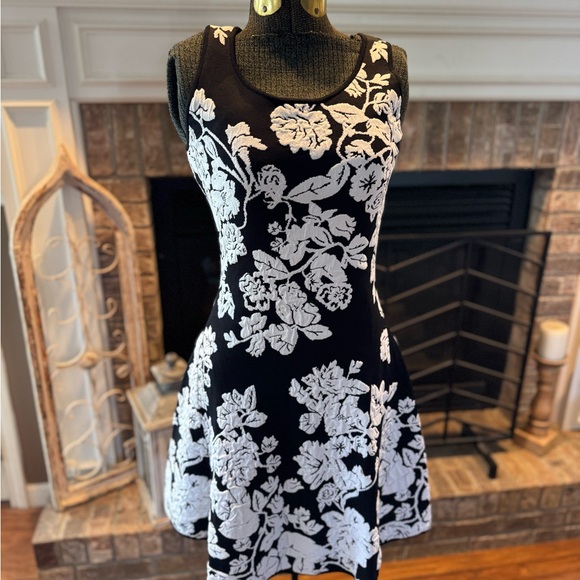 Milly | Dresses | Milly Fit Flare Dress | Poshmark